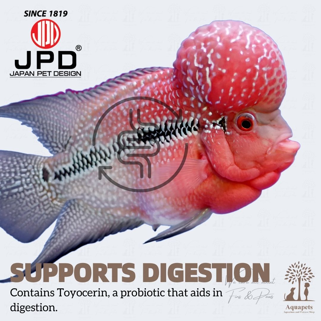 JPD Kangun FlowerHorn Fish Food 100g / 500g Pellet Makanan Ikan ...