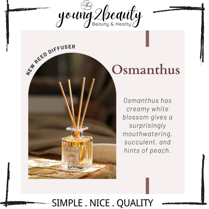 Essential Oil Reed Diffuser Room Fragrance Aromatherapy Aroma Diffuser ...
