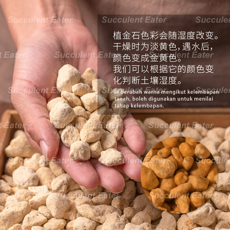 Satsuma Stone 1L Succulent and Cactus Media Orchid Soil 植金石 兰花多肉 ...