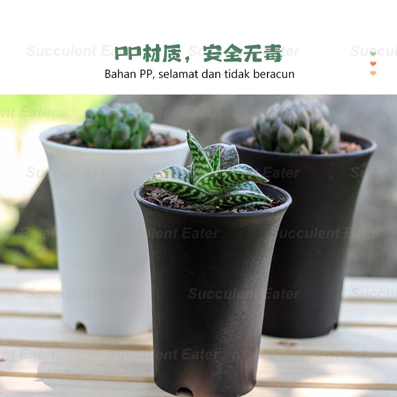 Flower Pot Pasu Bunga Round Thick Tall Plastic Succulent Cactus Pots ...
