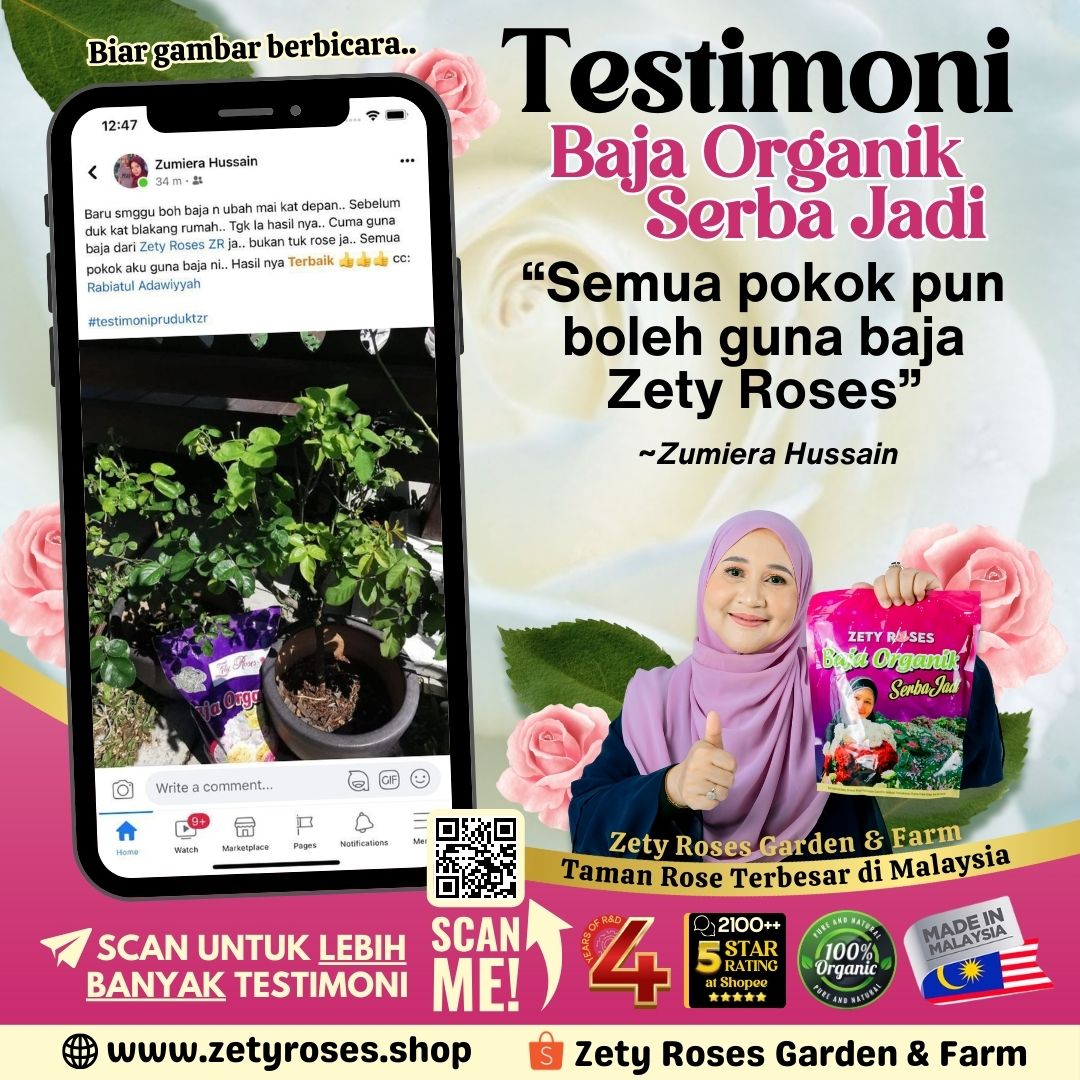 Zety Roses Set 5 Serangkai Perlindungan Komprehensif Penyakit Pokok ...