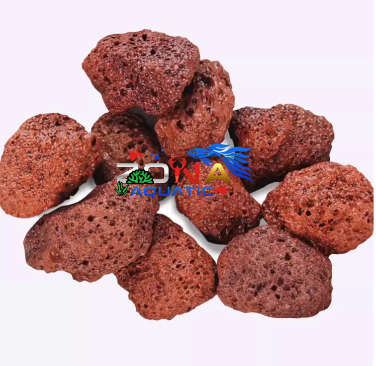 READY STOCK | Batu Vulkanik Asli (Merah & Hitam) | Lava Rock | Natural ...