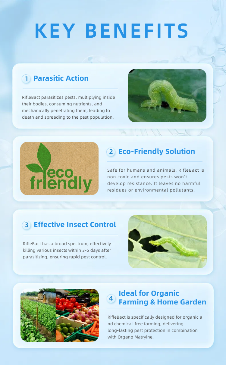AGROSTAR Riflebact Organic Microbial Fungus Based Insecticide Parasitic ...