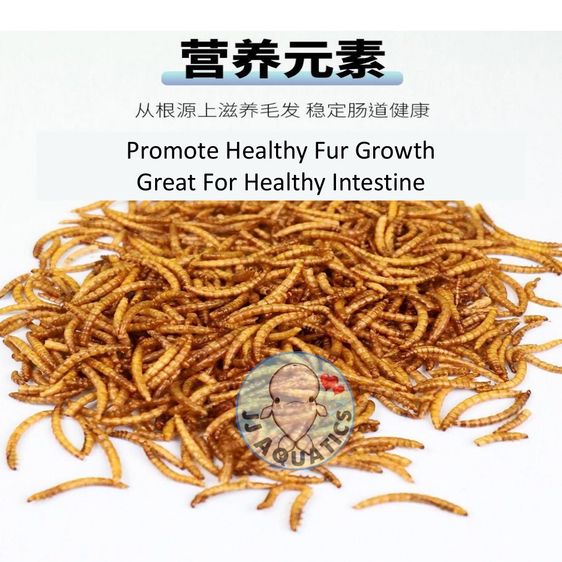 Jonsanty Dry Bread Worm Meal Worm Tenebrio Molitor Hamster Snack Food ...
