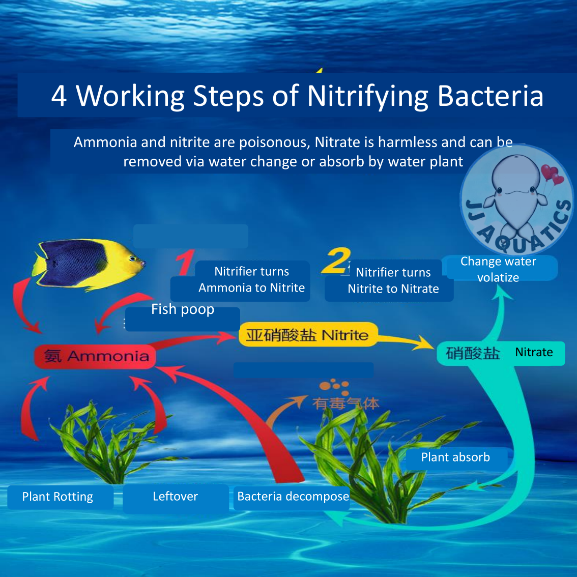 🔥Ready Stock🔥YEE Nitrifying Bacteria Nitrobacter Nitrifier for Aquarium ...