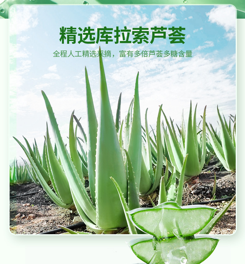 BISUTANG Hydration Moisturizing Aloe Vera Gel (500 g) 碧素堂 保湿补水芦荟凝胶 淡化痘印 ...
