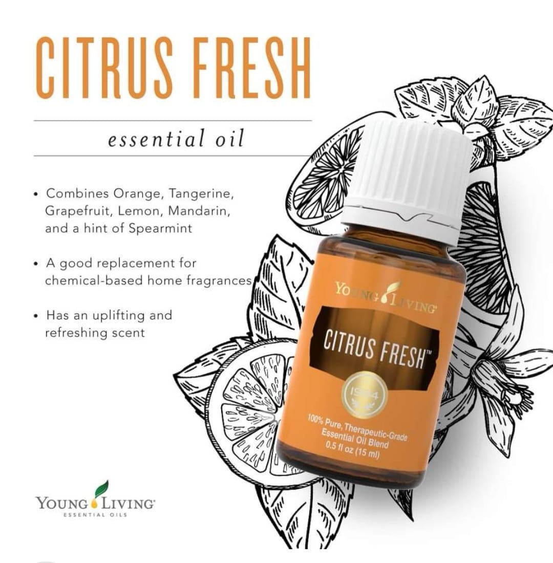 💯Original - Young-Livings Citrus Fresh Essential Oil 15ml / 5ml ...
