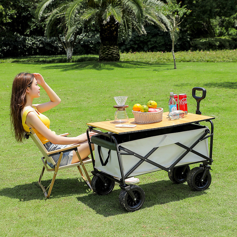 [NEW]Outdoor Wagon Trolley Camping Trolley Foldable Cart Tool Truck ...