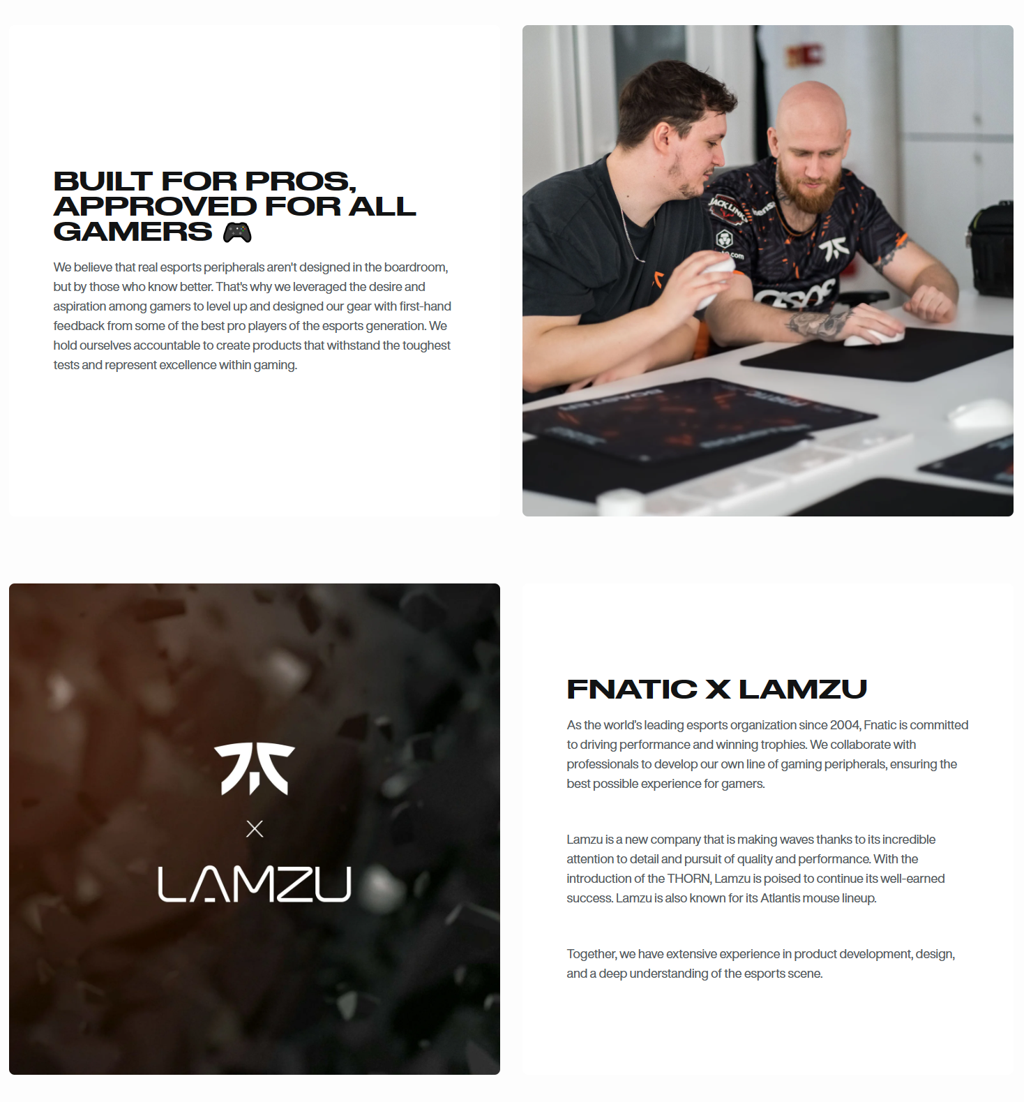 (AONE PLUS SS2) Fnatic Gear x LAMZU Thorn Wireless Mouse - Fnatic ...