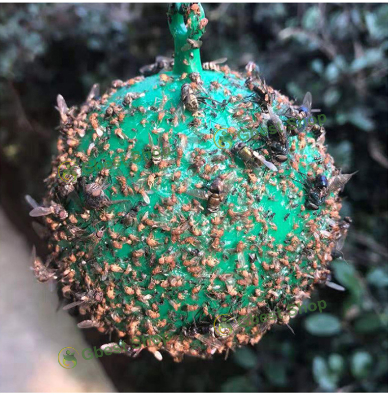 Sticky Trap Ball Fruit Fly White Flies flying bees Thrip Stinking Bug ...