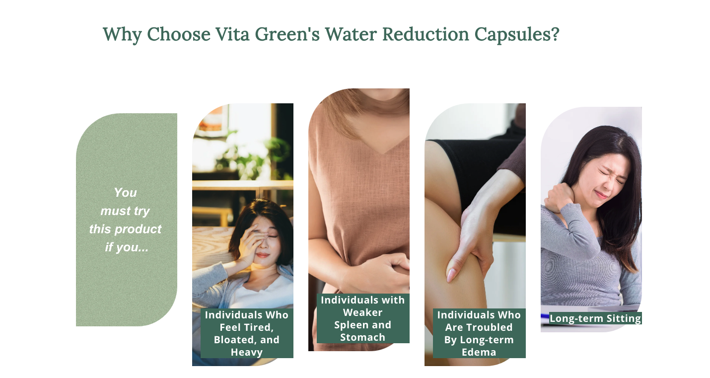 [CARTON DEAL] VITA GREEN Fortified Water Reduction [360 Capsules] 维特健灵 ...