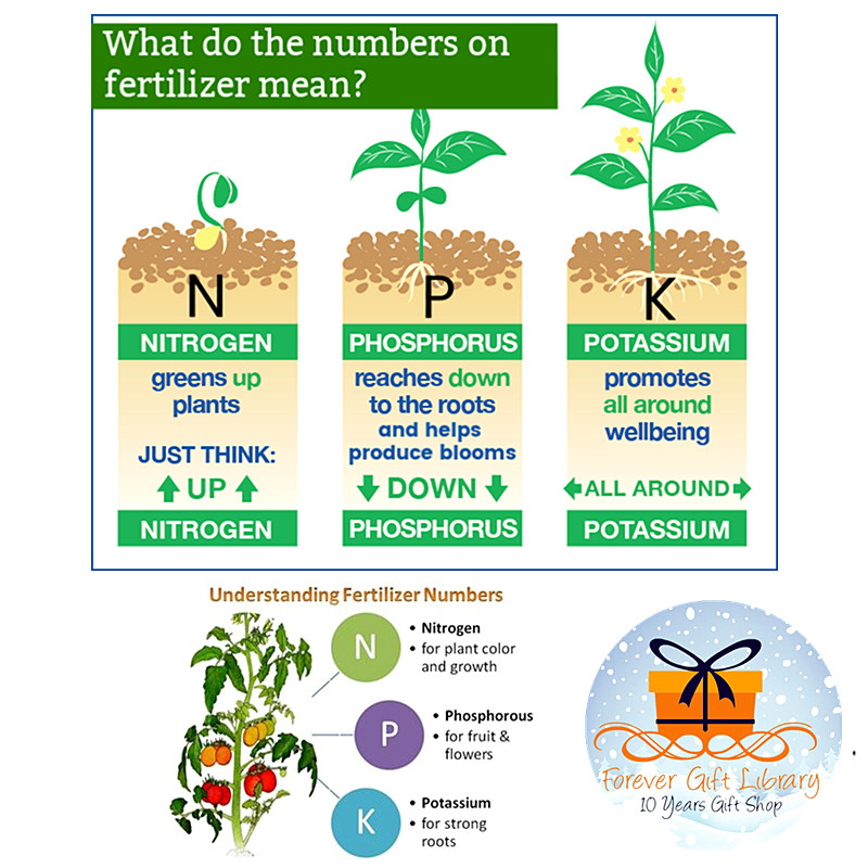 GIFT 植物营养棒缓释肥 Fertilizer Slow Release Baja Bunga SUCCULENT Fertilizer ...