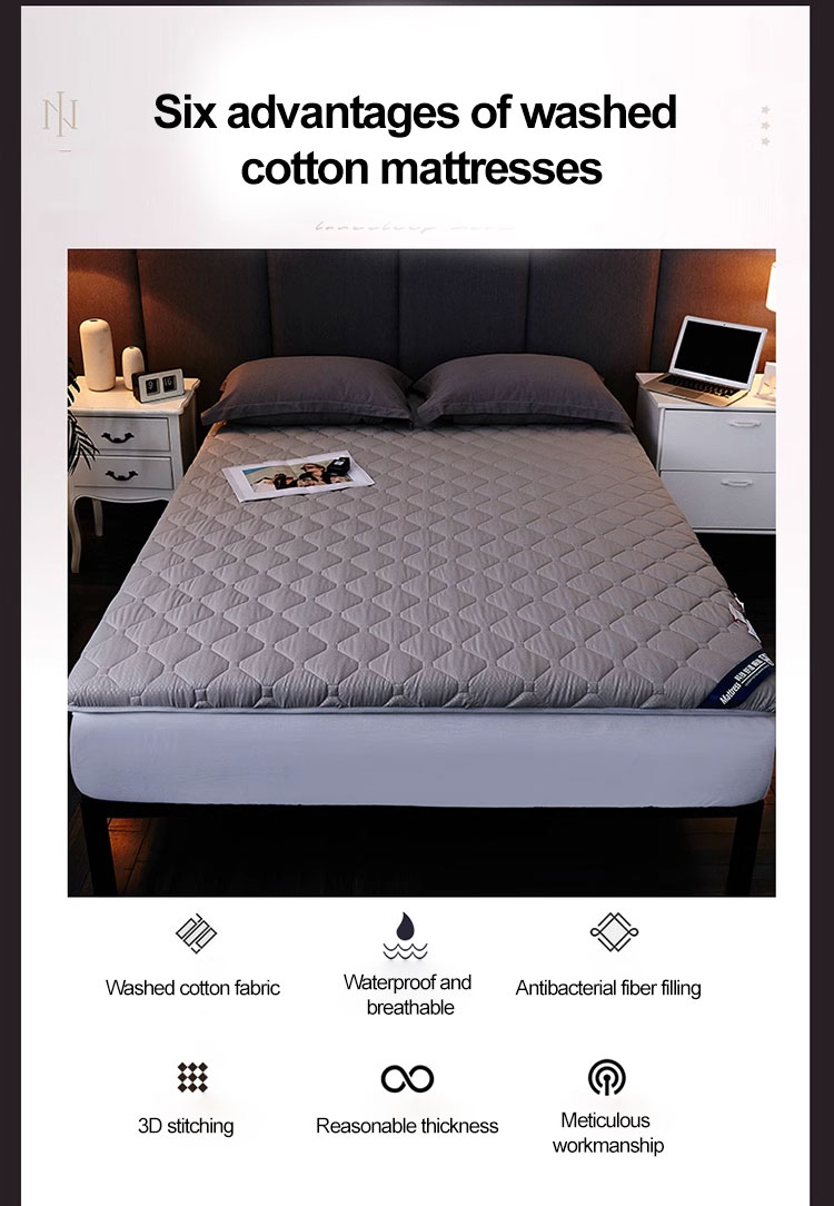 Queen King Size Protection Sponge Tatami Mattress Protector Thick ...