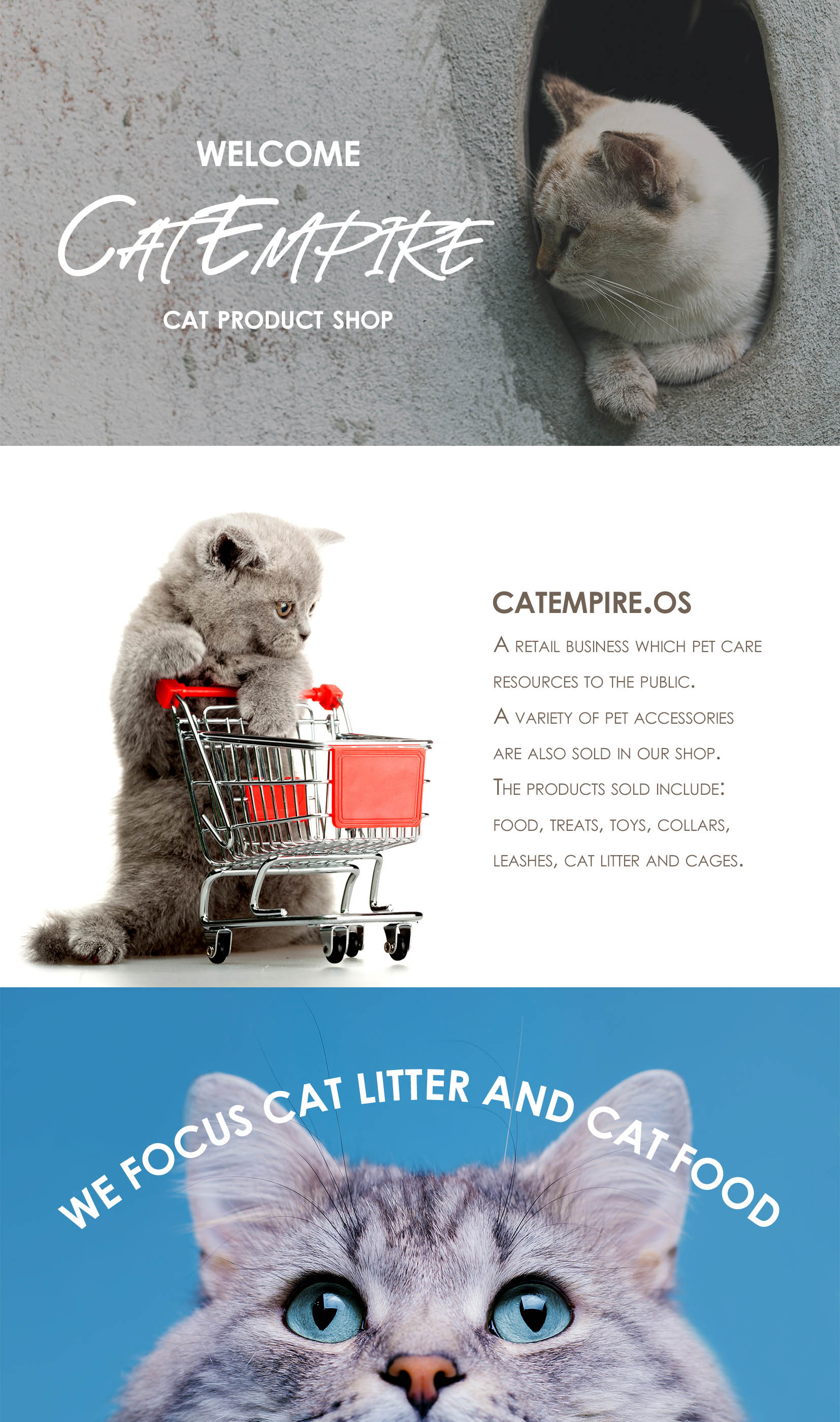 CAT EMPIRE Millet Tofu Cat Litter 6L/2KG 10 Packs (1 Carton) pasir ...