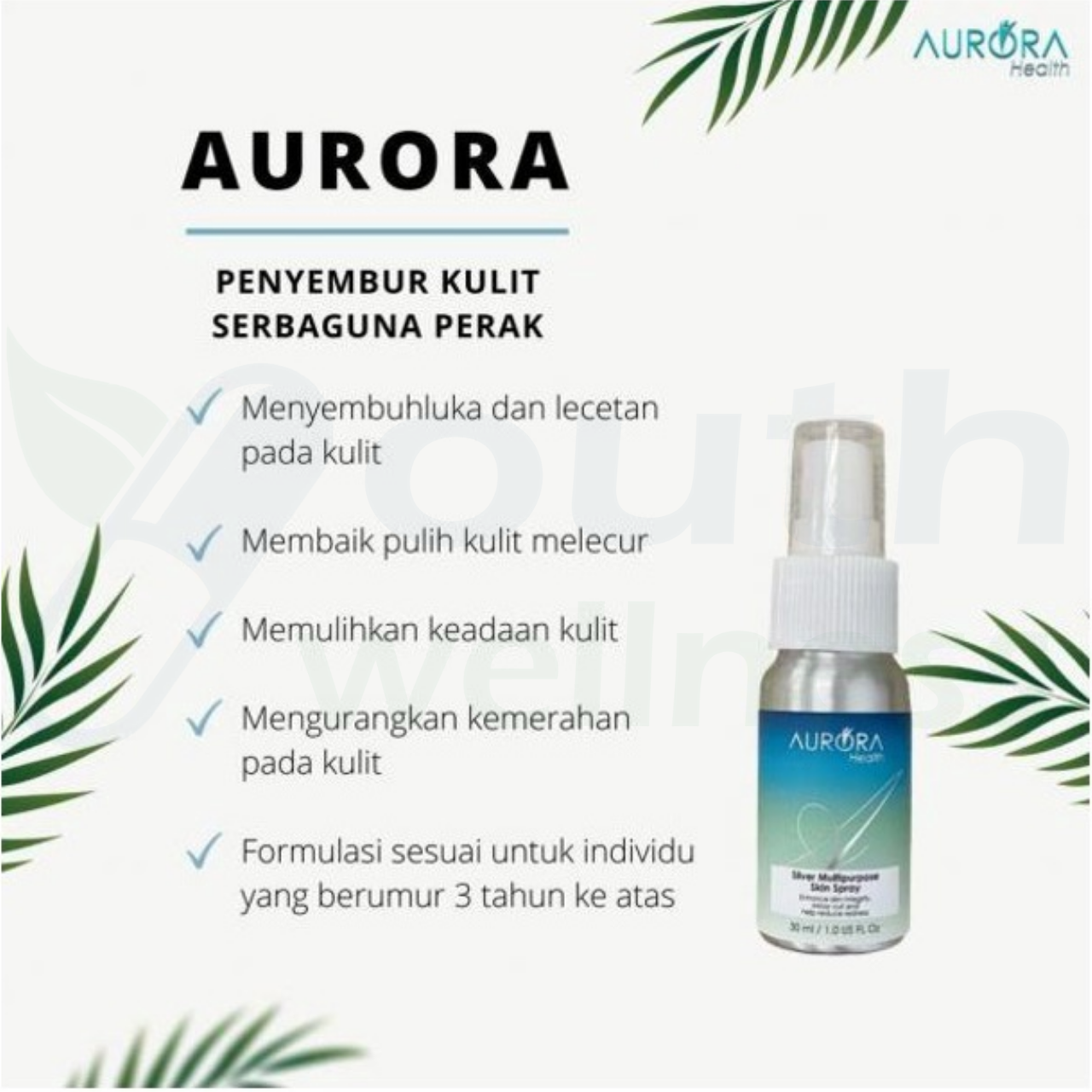 Remdii Aurora Silver Multipurpose Skin Spray (30 / 90 ml) Nano ...