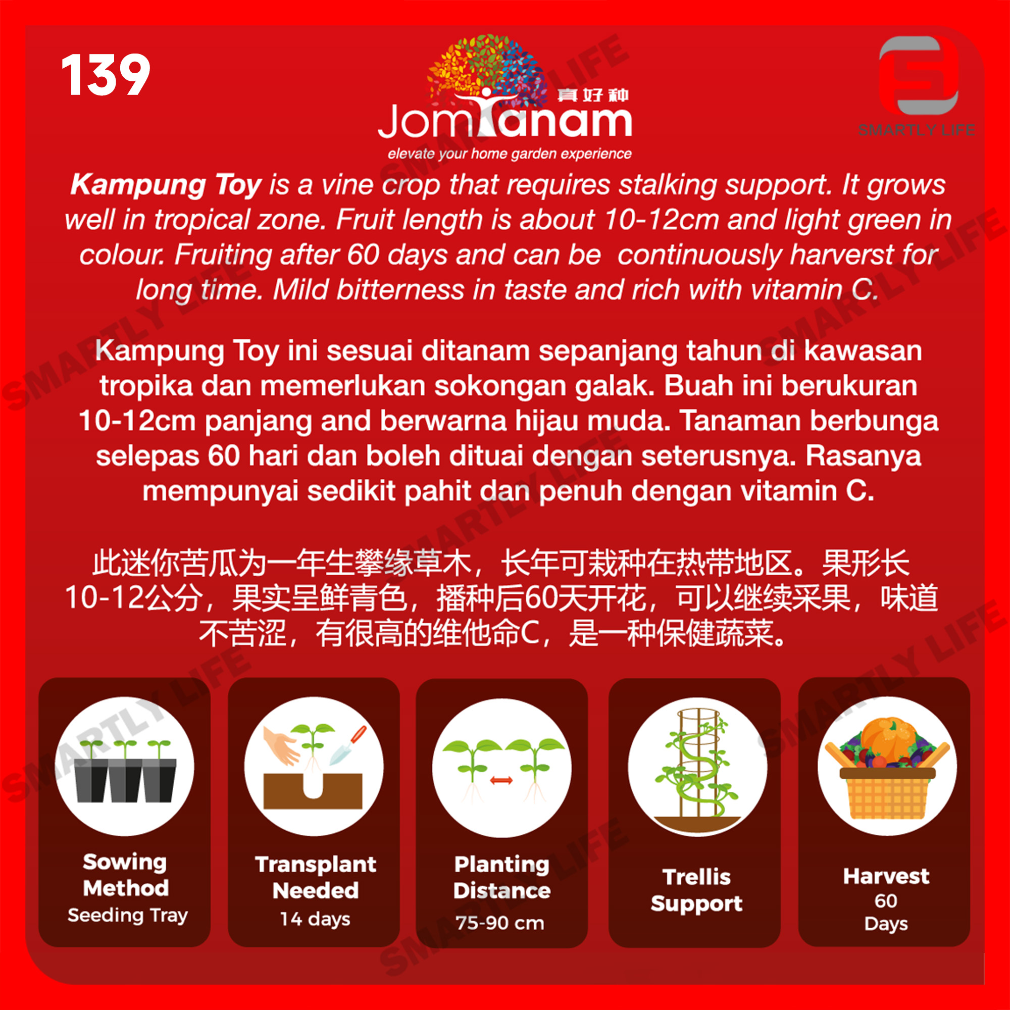 Bitter Gourd Wild Kampung Toy Benih Peria Kecil 山苦瓜 Jom Tanam Seeds 种子 ...