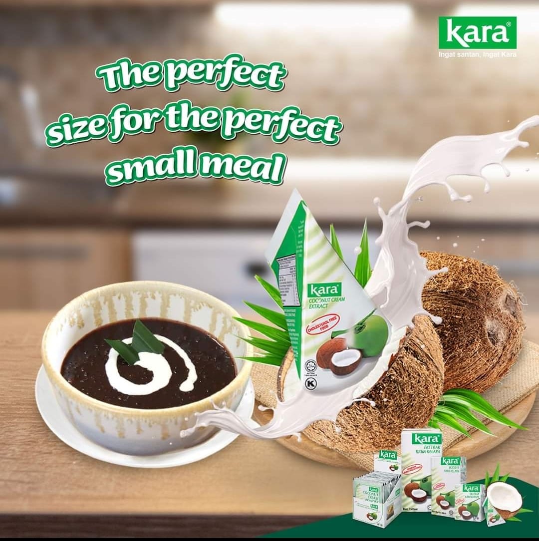 KARA SANTAN Kara Mini Borong Santan Kotak Kara Coconut Cream Extract ...