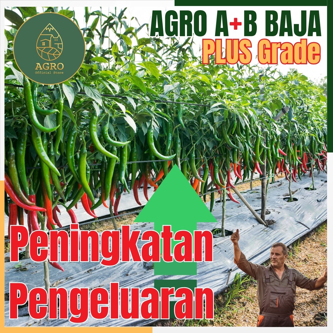 Agro Baja AB 2kg AB Fertilizer Fertigasi dan Hidroponik Sayur Daun Cili ...