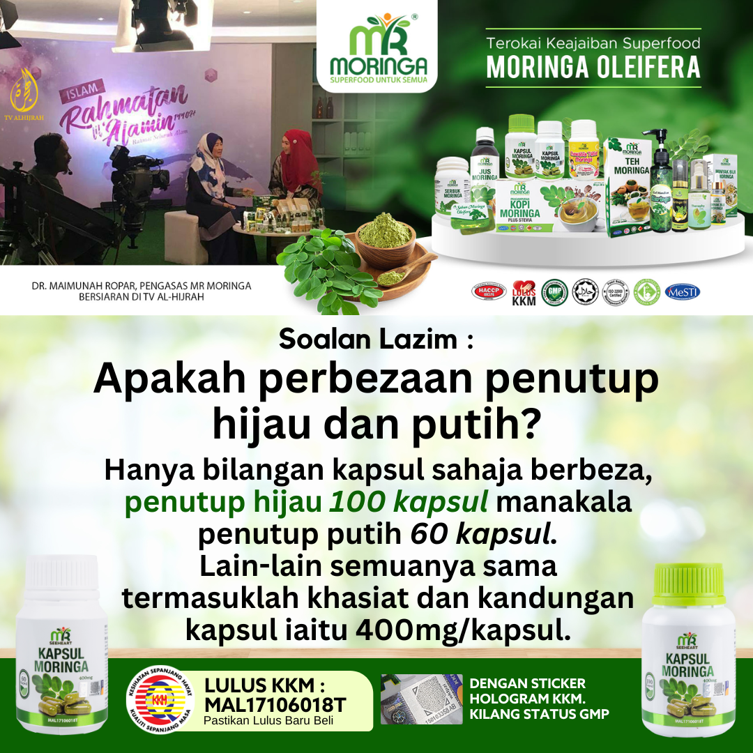 Moringa Oleifera Premium Capsules 60/100 Kapsul 400mg Moringga / Kelor ...