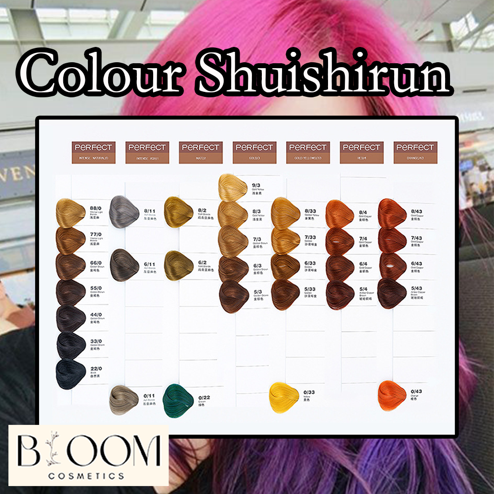 PERFECT COLOR BOOK COLOR CHART BUKU PEWARNA PERFECT DYE HAIR SALON USE ...