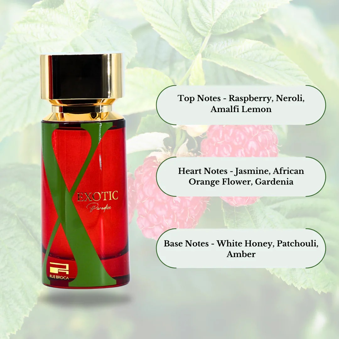 Exotic Paradise Lady Pour EDP Spray 100ML RUE BROCA Designer Perfumes ...