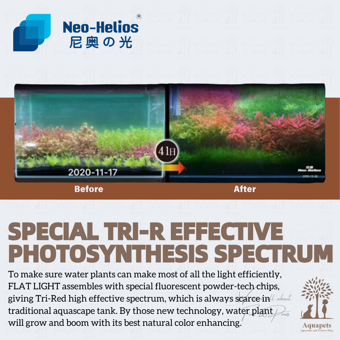 Neo Helios Flat Light XP Full Spectrum WRGB Ultra Slim LED Light ...