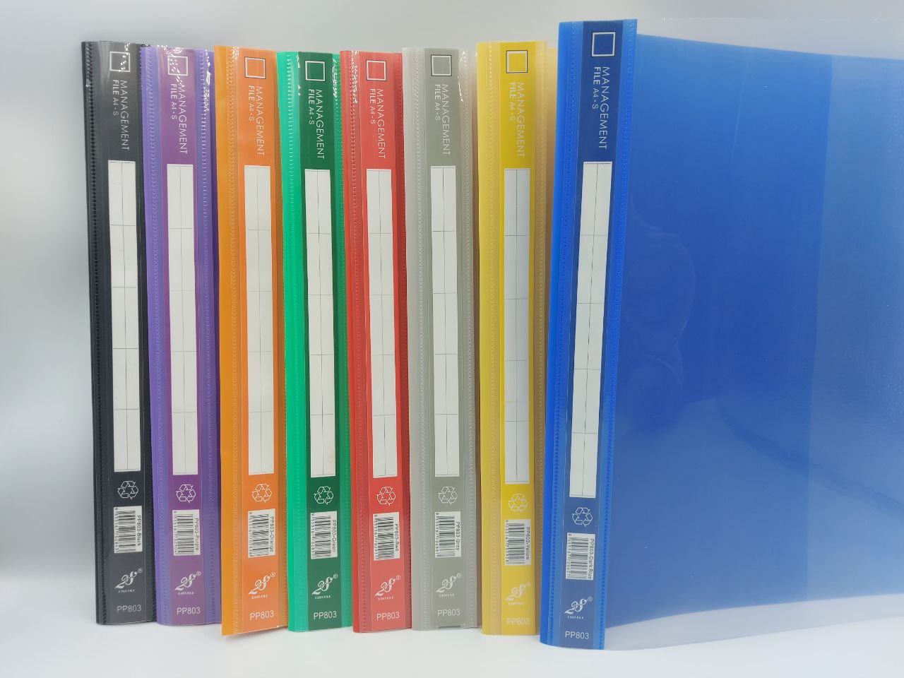 Management File A4 PP / Report File / Office File / Pocket File / Fail ...
