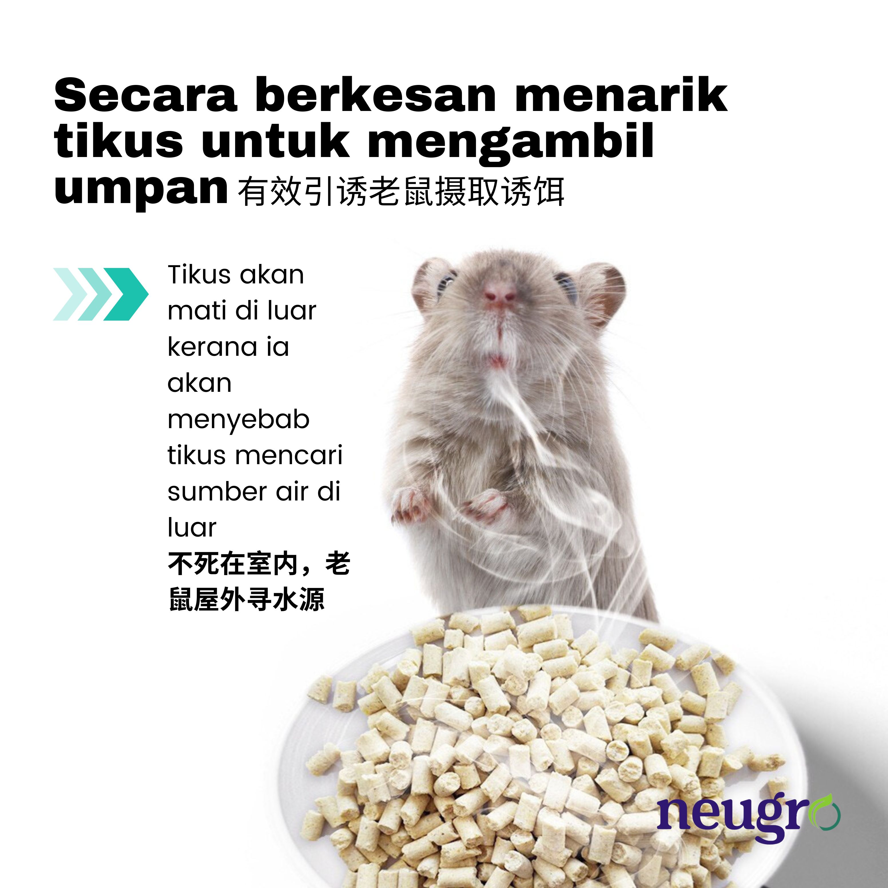 Umpan Tikus 15g Rat Bait Ratgone Rodenticide Indoor/Farm (Sama MATIKUS ...