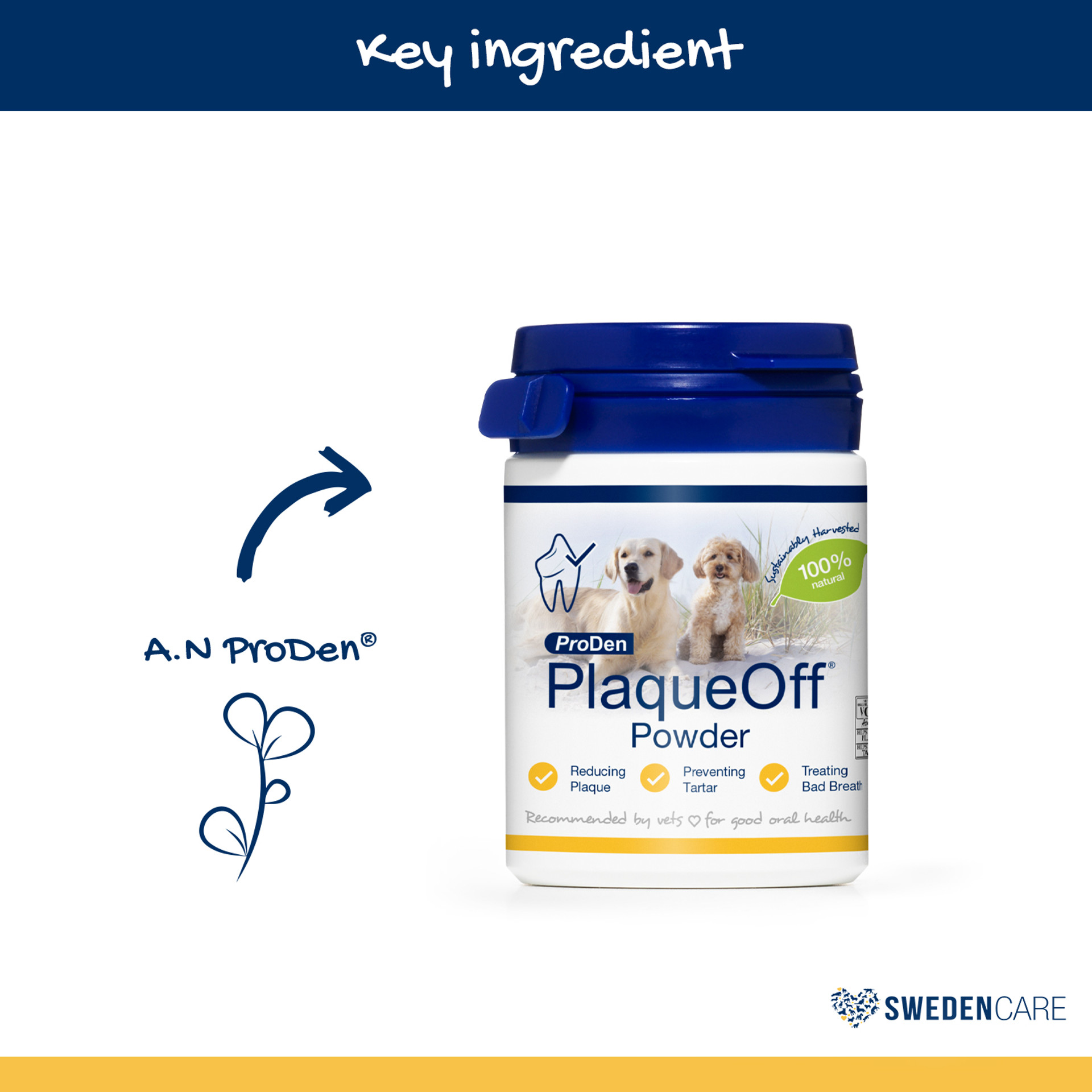 ProDen PlaqueOff Powder 40g / Dogs / Teeth Care / Preventing Tartar ...
