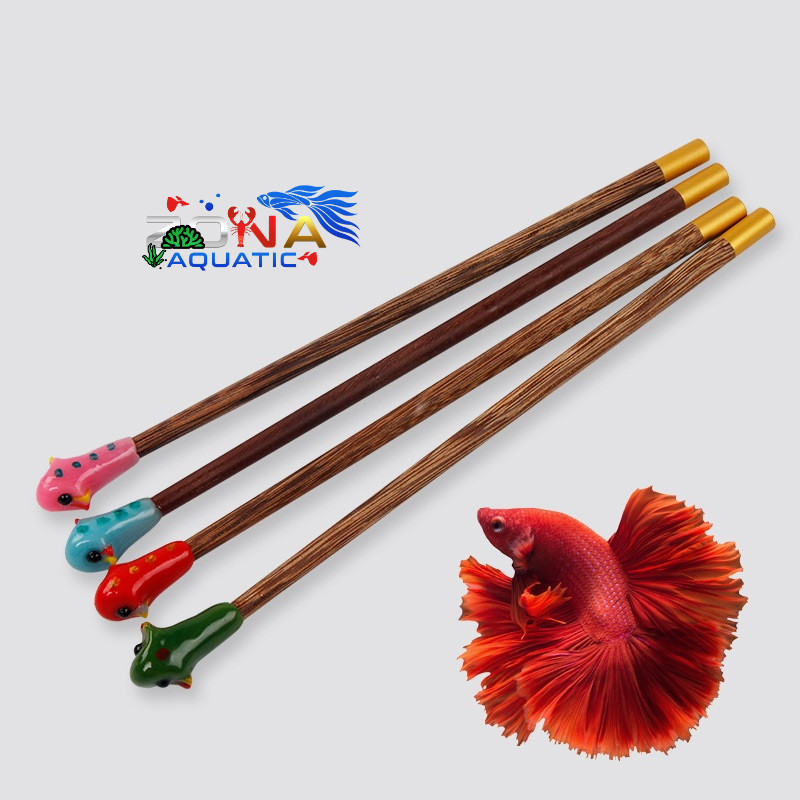 READY STOCK | BETTA FLARE STICK | BATANG BETTA IKAN KELAPA | BETTA FISH ...