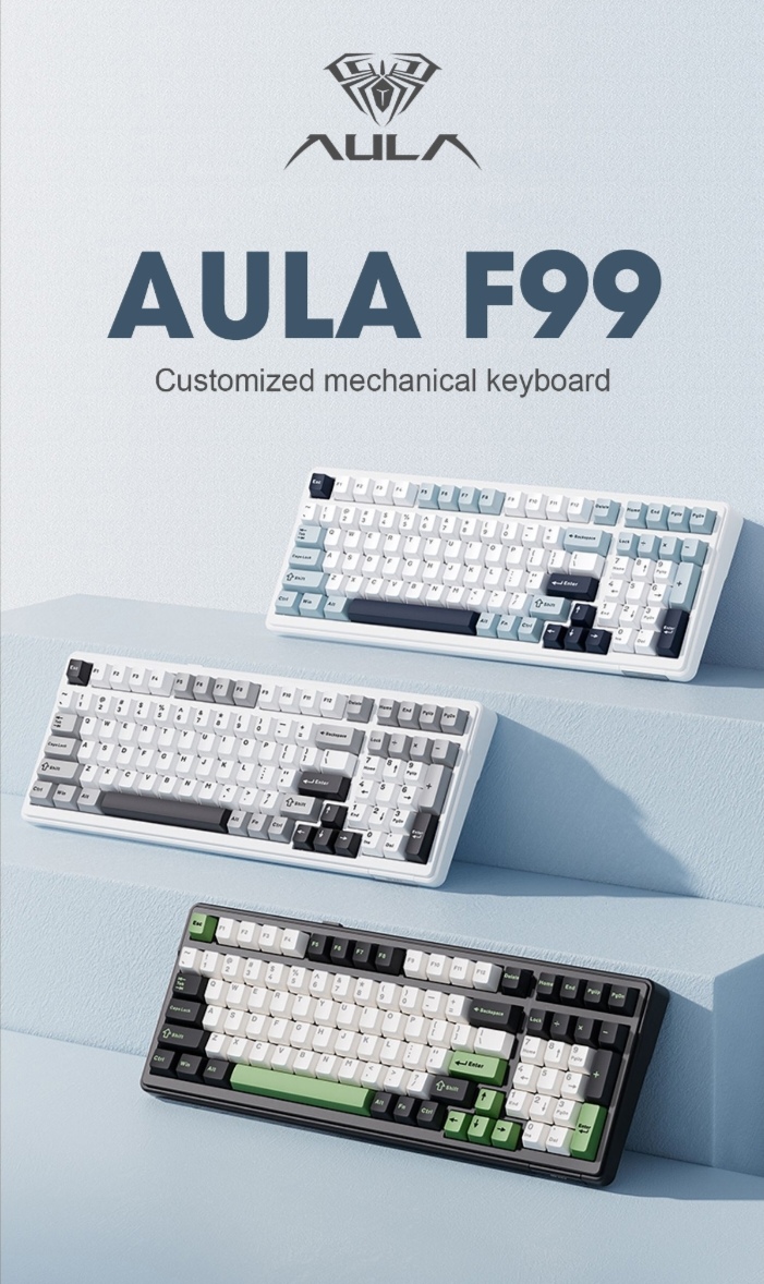 AULA F99 Customized Mechanical Keyboard 99 keys The 3 Mode Hot-swap ...