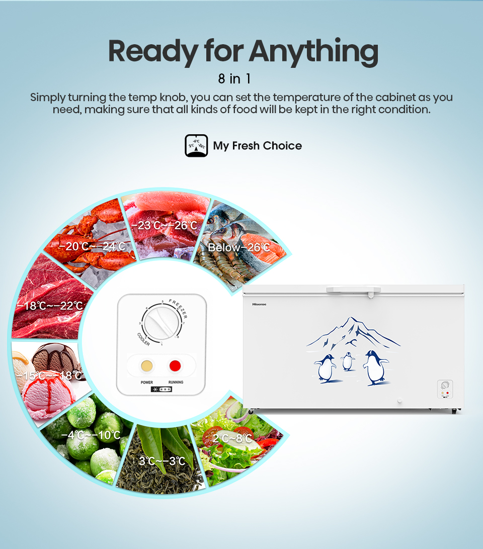[Free Shippin]Hisense Chest Freezer (300L/350L/530L/780L) FC326D4BWYS ...