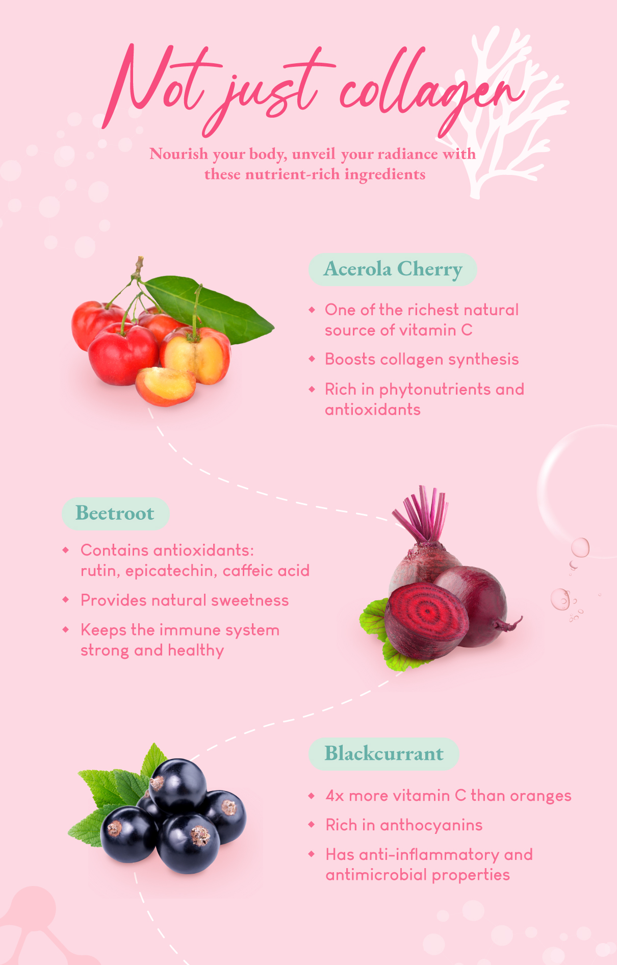 Signature Market Vital Spark Marine Colla-Plus (Collagen Powder, Skin ...