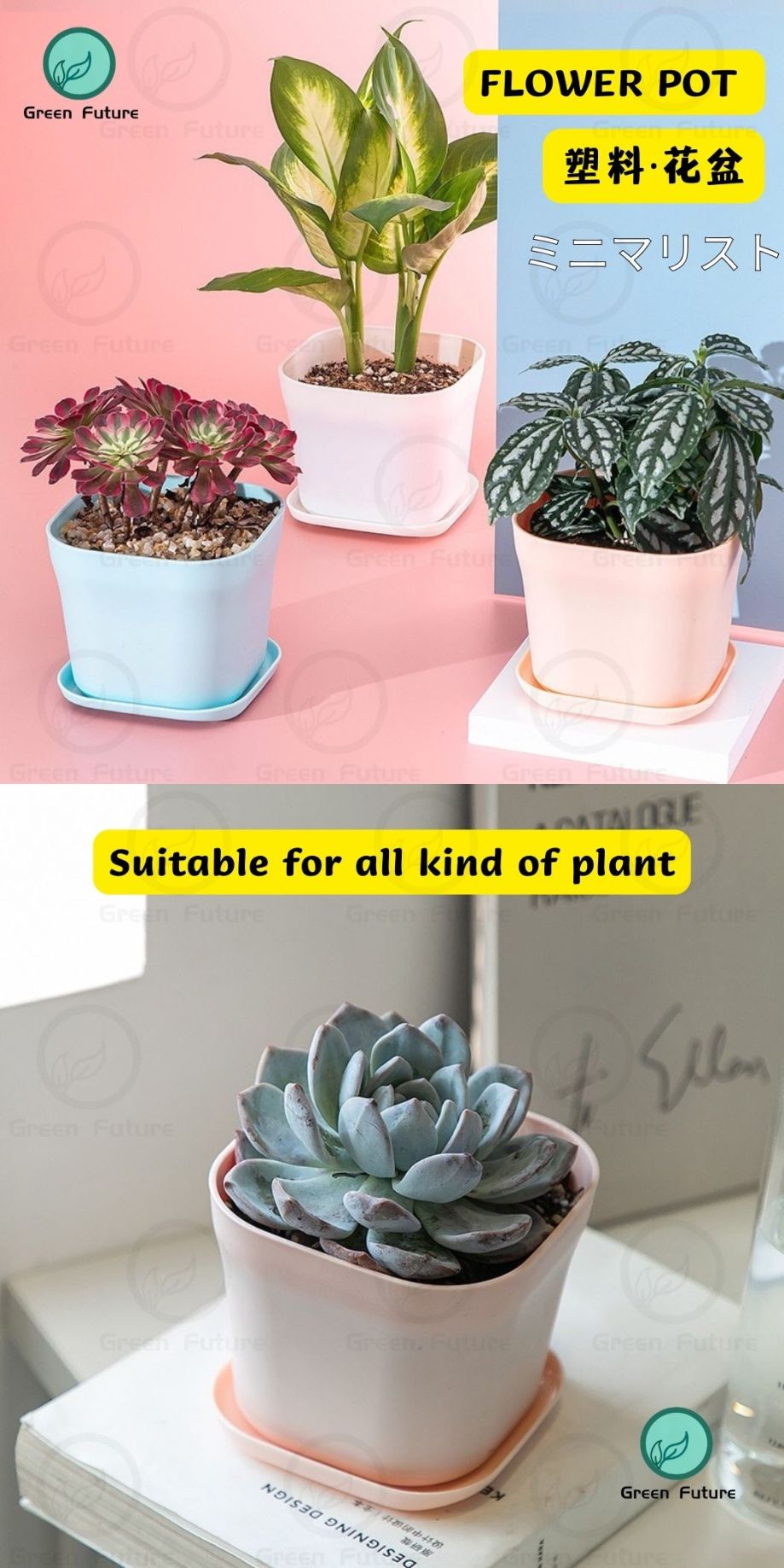 WHITE BLACK COLOR SUCCULENT CACTUS thick flower pot SQUARE PLASTIC POT ...