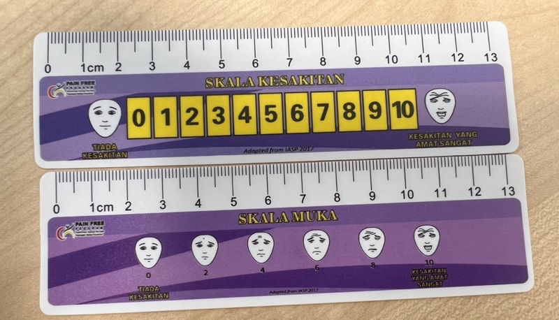 Pain Score Ruler Pembaris Skala Kesakitan | Shopee Malaysia