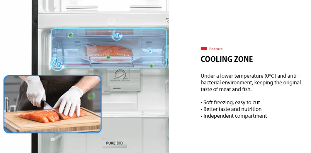 Toshiba Origin Inverter Refrigerator (310L) GR-RT320WE PMY (UK ...
