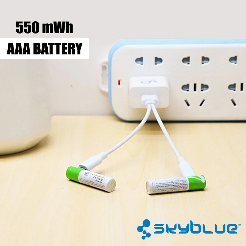 Skyblue Rechargeable Battery AAA AA Type C Plug Charger With Bateri Cas ...