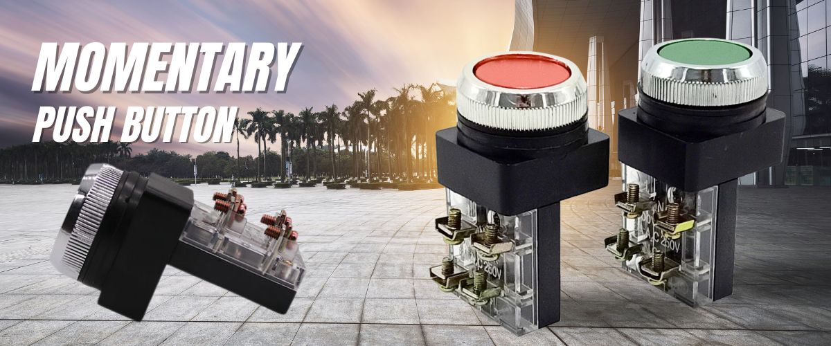 25mm / 30mm Momentary Flat Push Button Switch Self Reset Spring Return ...