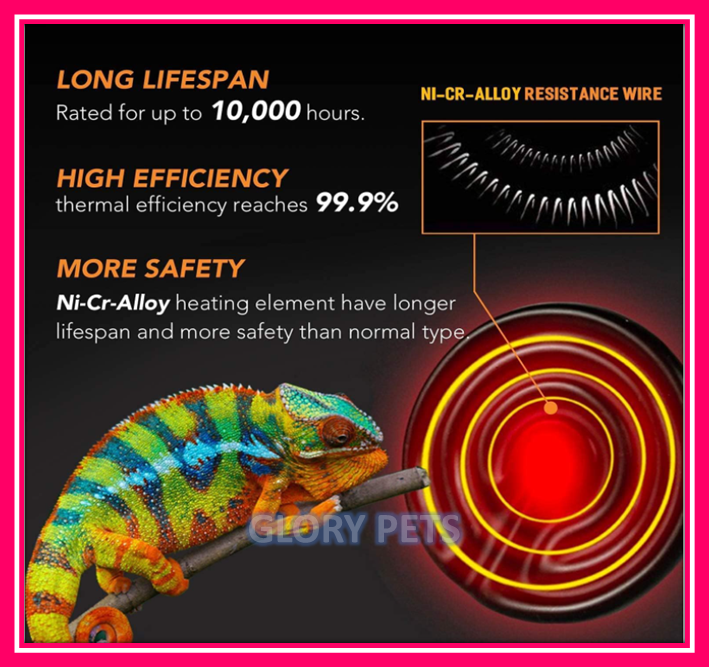 Infrared Heater Tortoise Heating Light Reptile Ceramic Heat Emitter ...