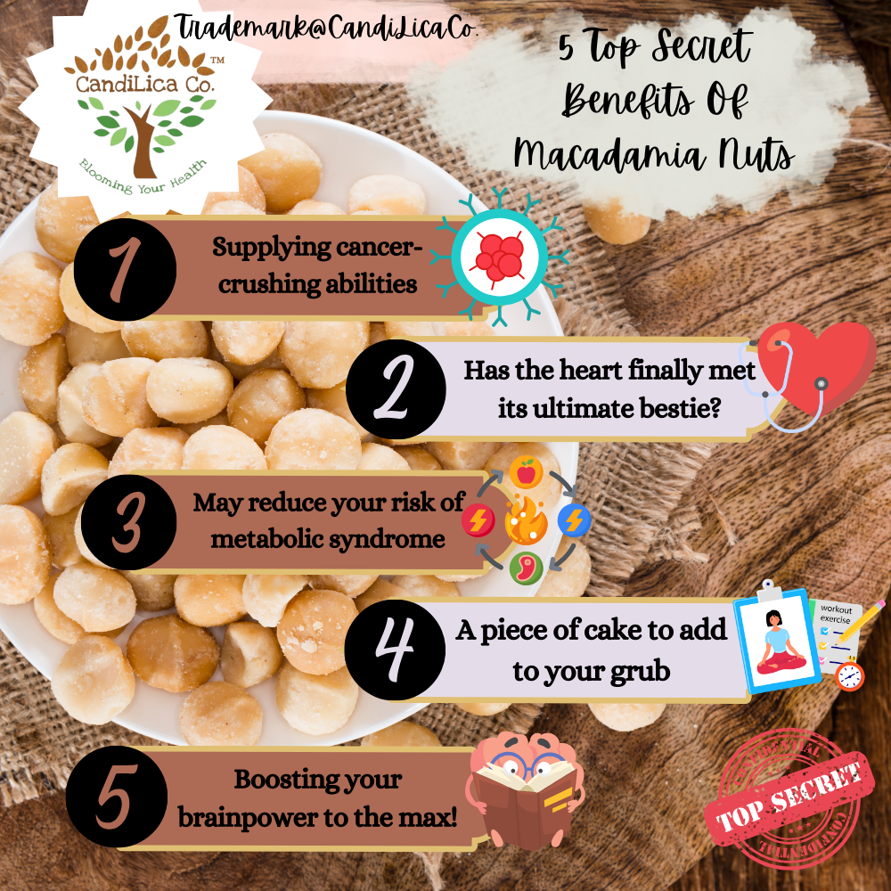 Macadamia Nut Kernels (Halve Size) | Kacang Macadamia Separuh | 半颗夏威夷果仁 ...
