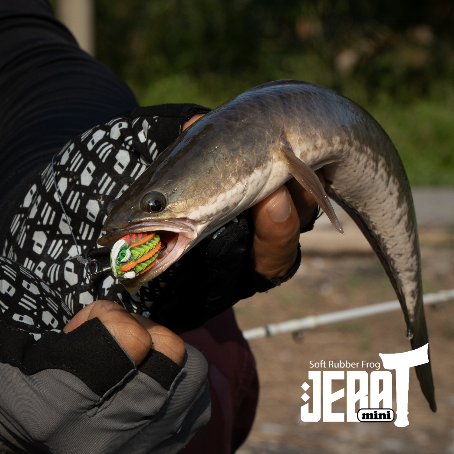 EXP MINI TUAH JEBAT FROG Soft Rubber Frog Expert For Snakehead Hunter ...