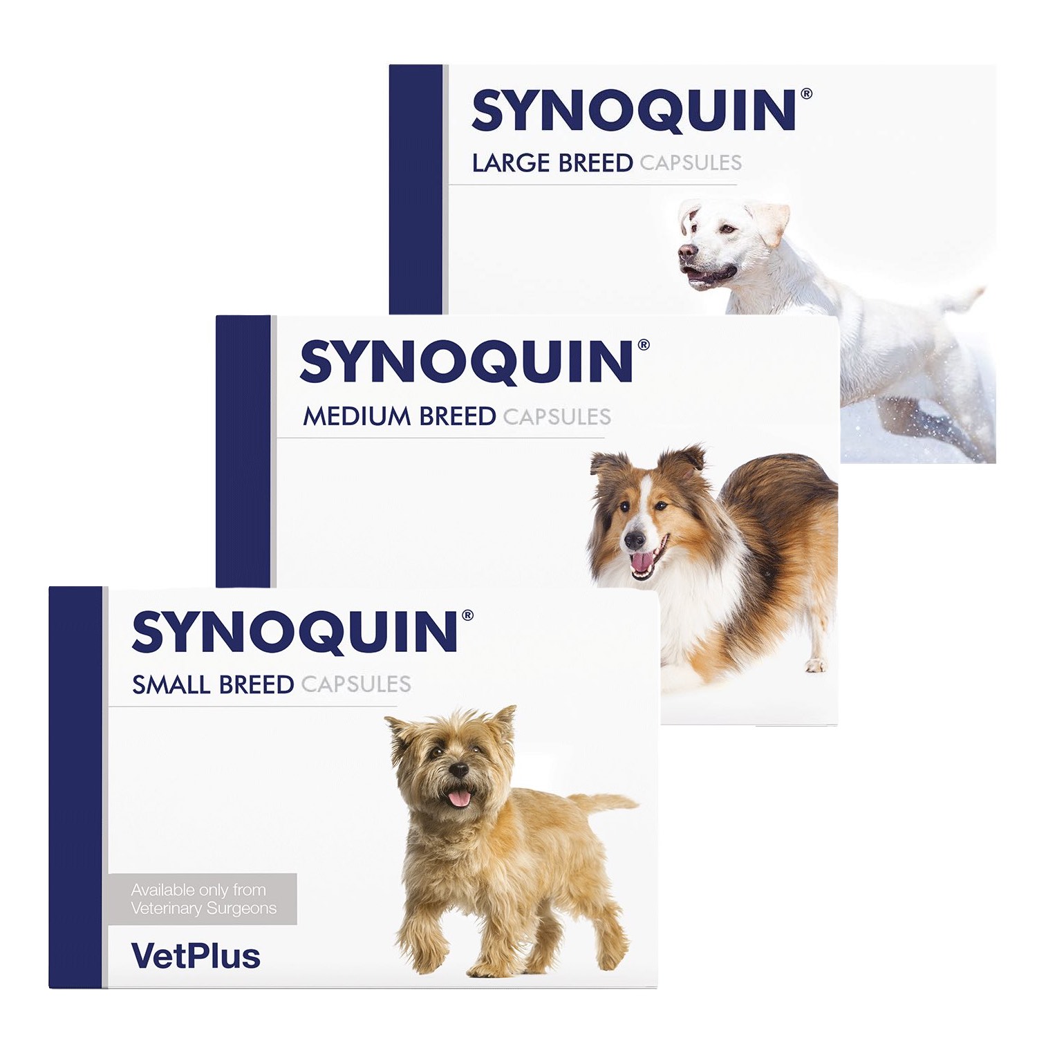 VETPLUS SYNOQUIN JOINT SUPPLEMENT FOR DOGS (SMALL, MEDIUM, LARGE ...