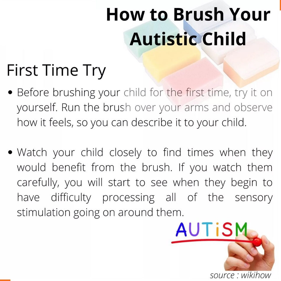 Wilbarger Sensory Therapy Brush for Kids | Berus Terapi Sensori untuk ...