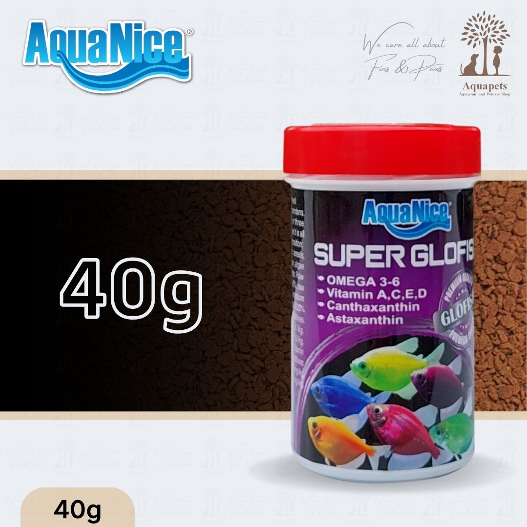 Aquanice Super Glofish Food - 40g / Tetra glofish food / Small fish ...