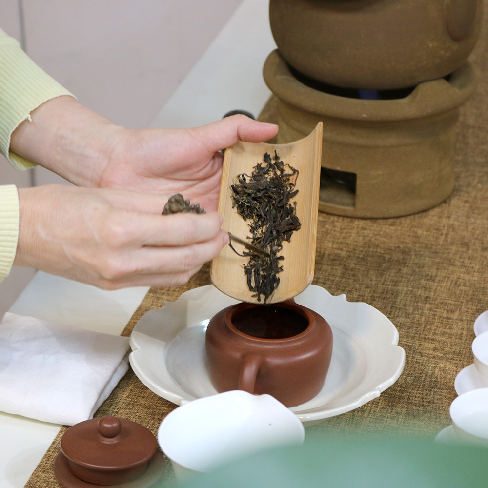 Purple Cane Yun Shu Wang Green Puer Tea Year 2023 Mengku (10g) 紫藤 云树王 普洱青饼 2023年 勐库（10克 ...