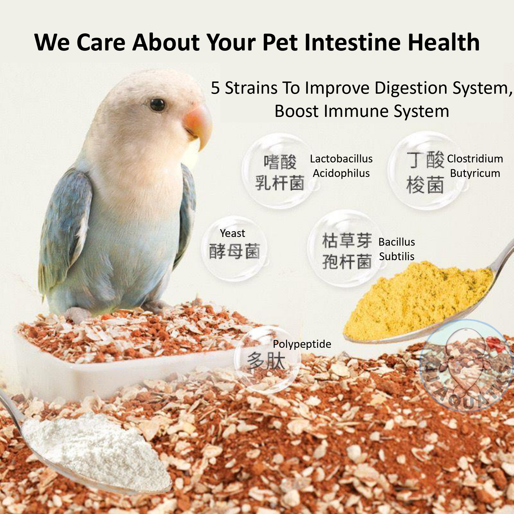 Jonsanty Parrot Birds Probiotics Health Sand Bird Food Supplement ...