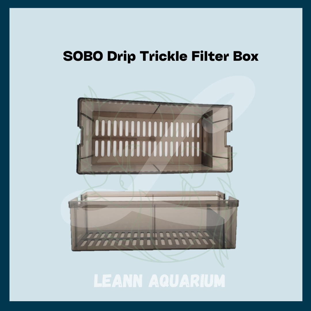 🔥HOT🔥 Sobo Drip Trickle Filter Box ONLY for F-30 F-60 F-90 F-120 滴流盒子 ...