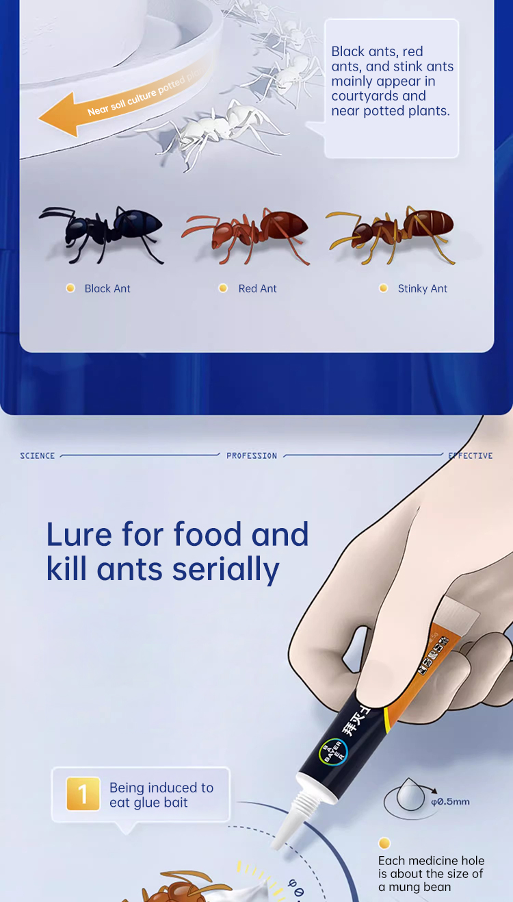 BAYER Premise Ant gel bait Ant poison Pest Control / 拜耳拜灭士杀蚁胶饵 蚂蚁药 ...