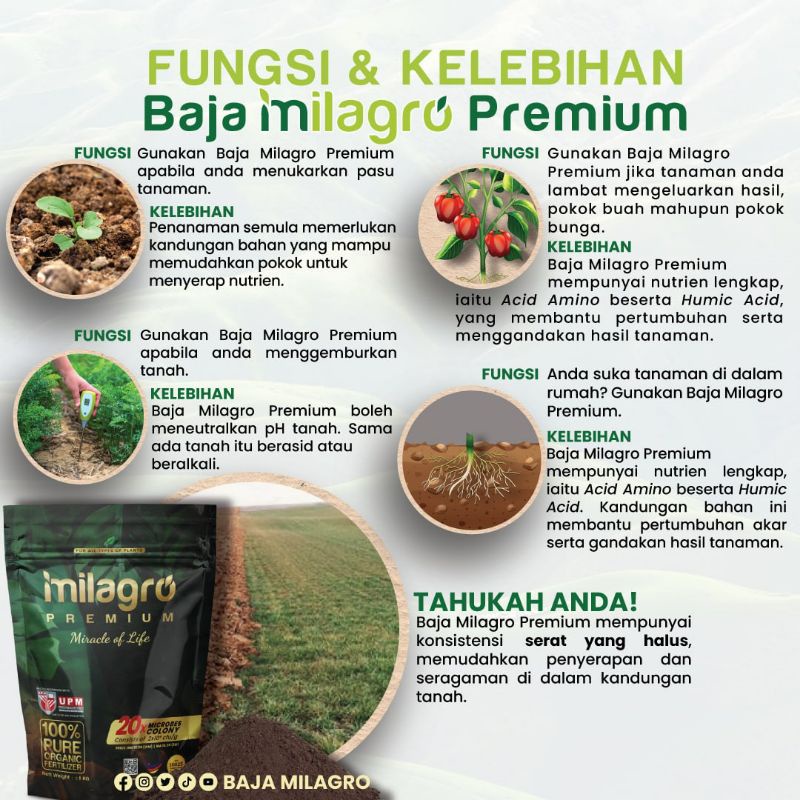 Matado Milagro Racun Organik Spray Serangga Perosak Tanaman Belalang ...