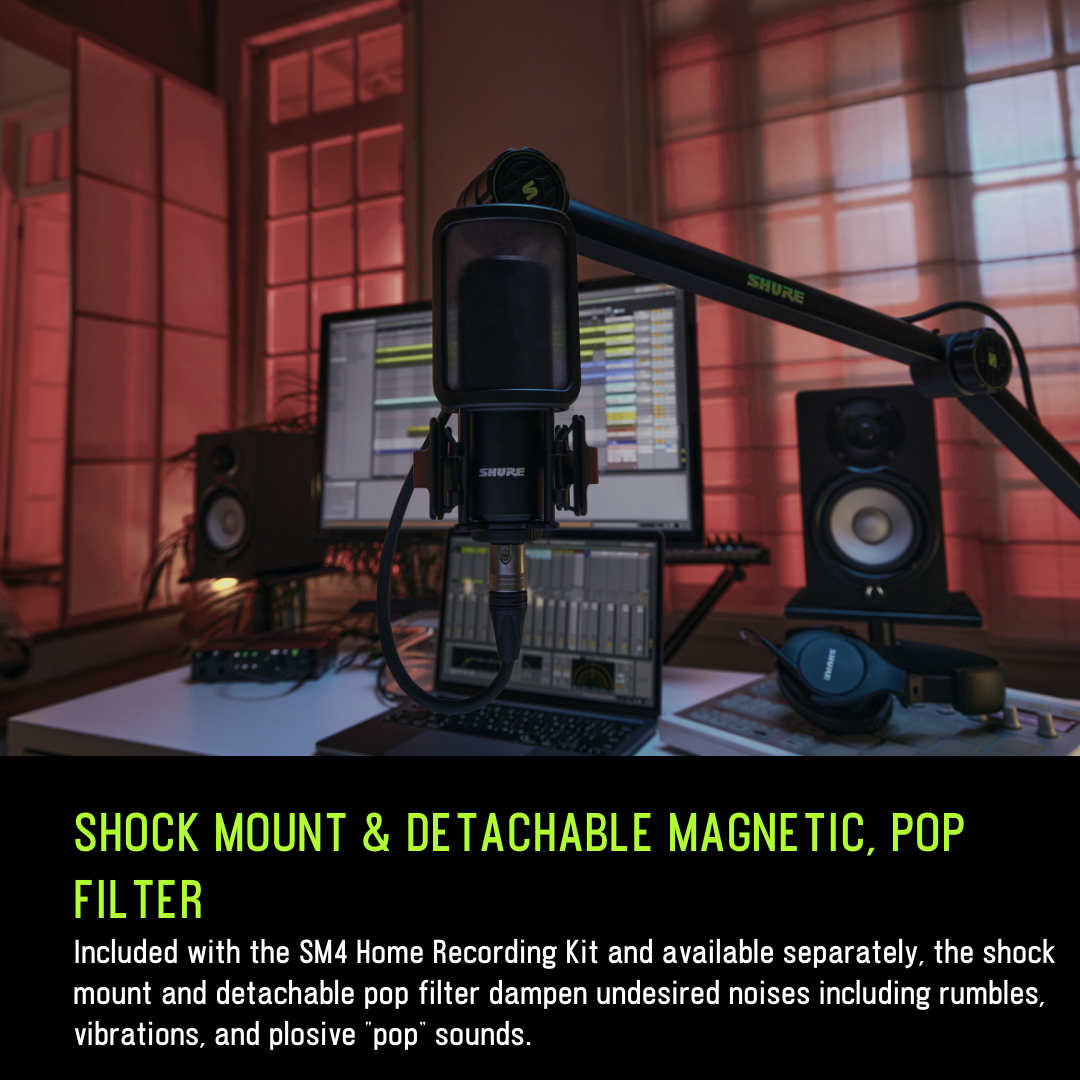 Shure SM4 Home Recording Microphone Dual-diaphragm Condenser Microphone ...